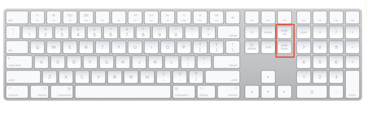 How To Page Up & Page Down on a Mac (inc. Safari, Pages & Office)